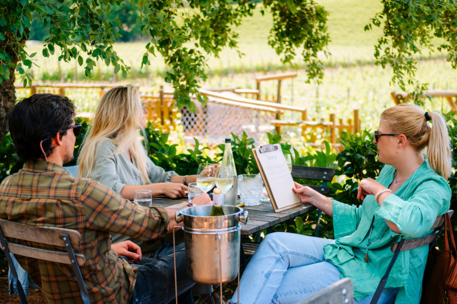 Welcome to our vibrant vineyard village in Paarl | Laborie Estate